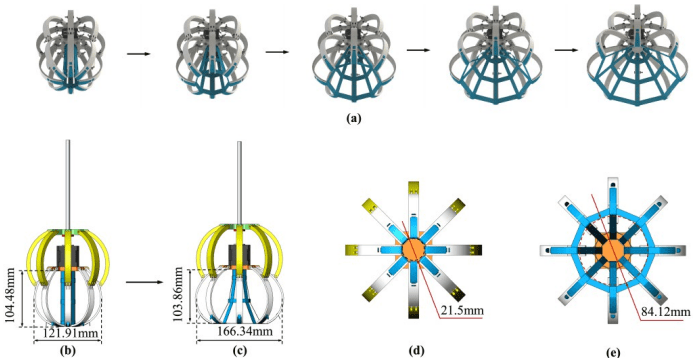 III. Bio-Inspired Soft Robotic Grippers and Manipulators – Xingwen ...